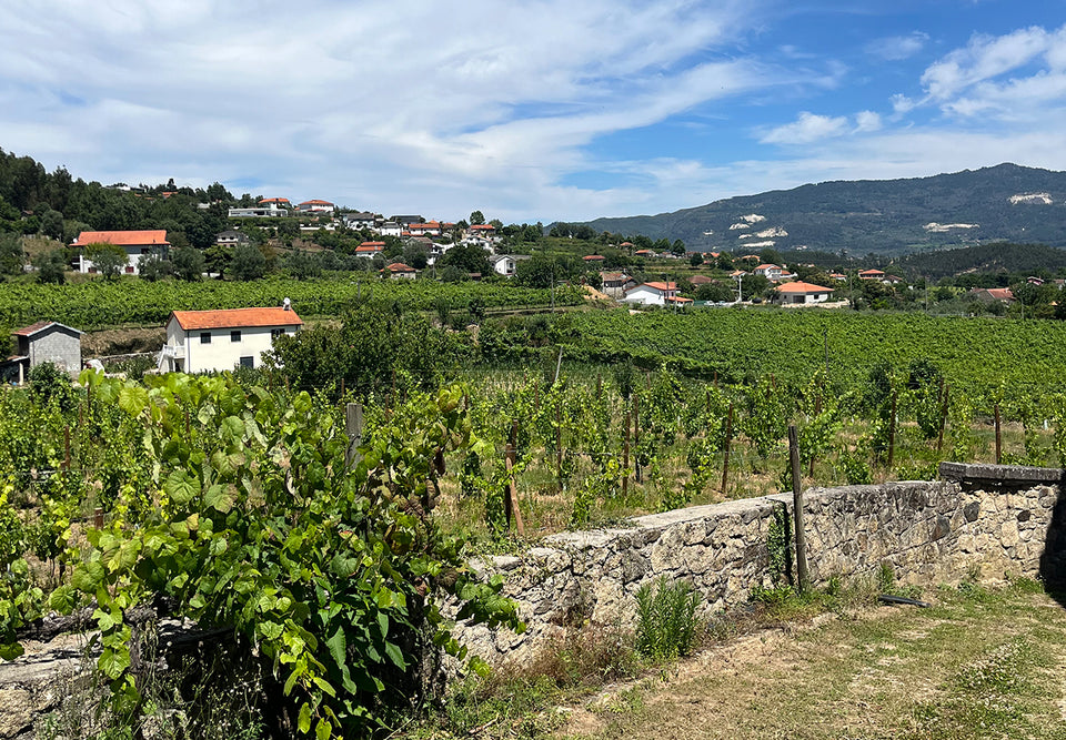 Contact Us The Vinho contact-us-the-vinho